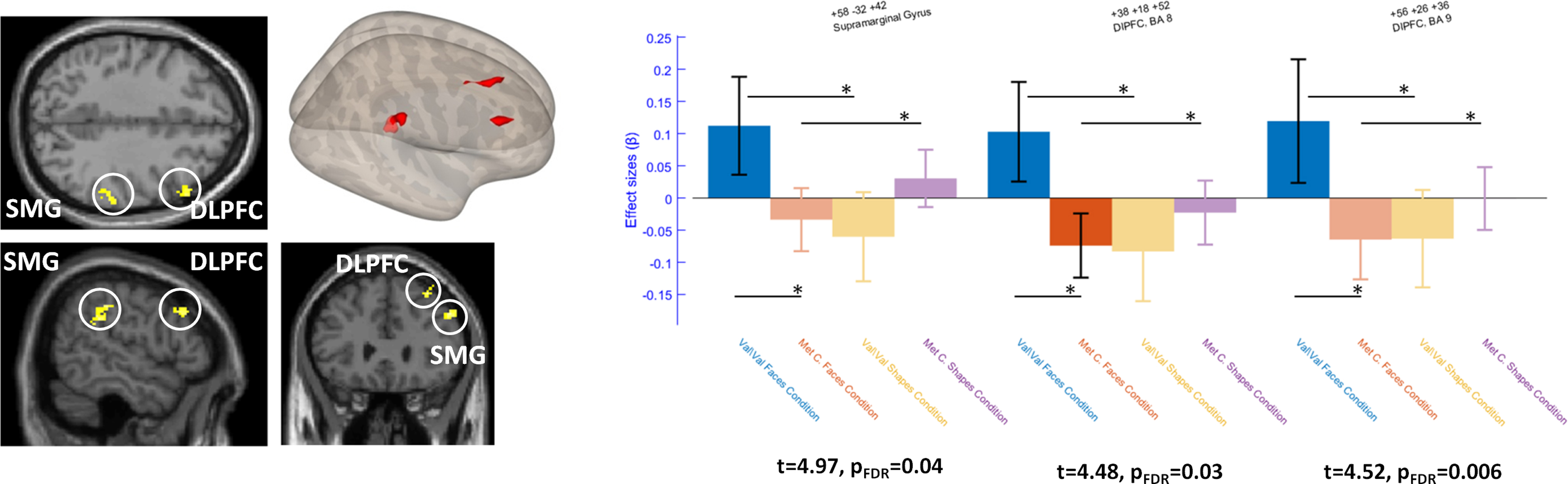 Catechol-O-methyltransferase Val(108/158)Met polymorphism affects ...