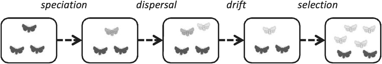 Introduction to Community Ecology (Part I) - Joint Species Distribution ...