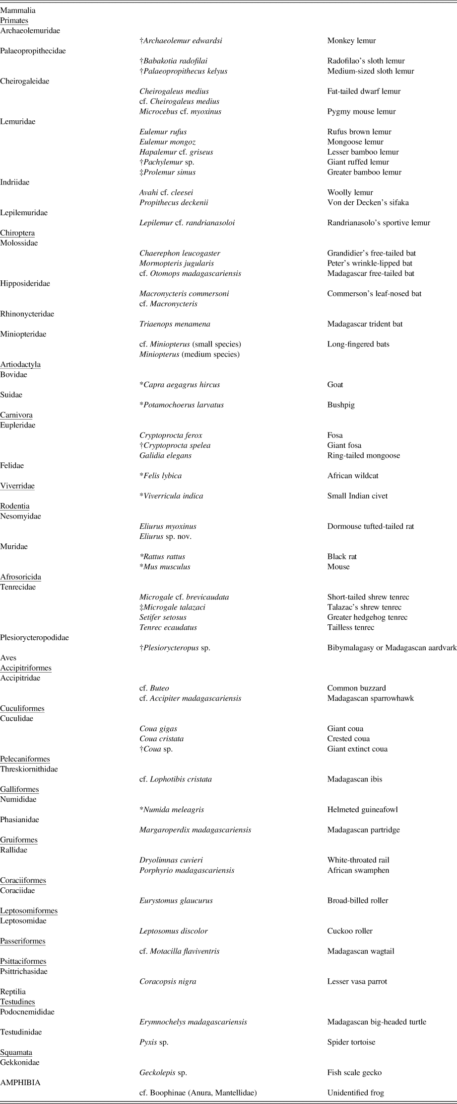 Subfossil lemur discoveries from the Beanka Protected Area in western ...