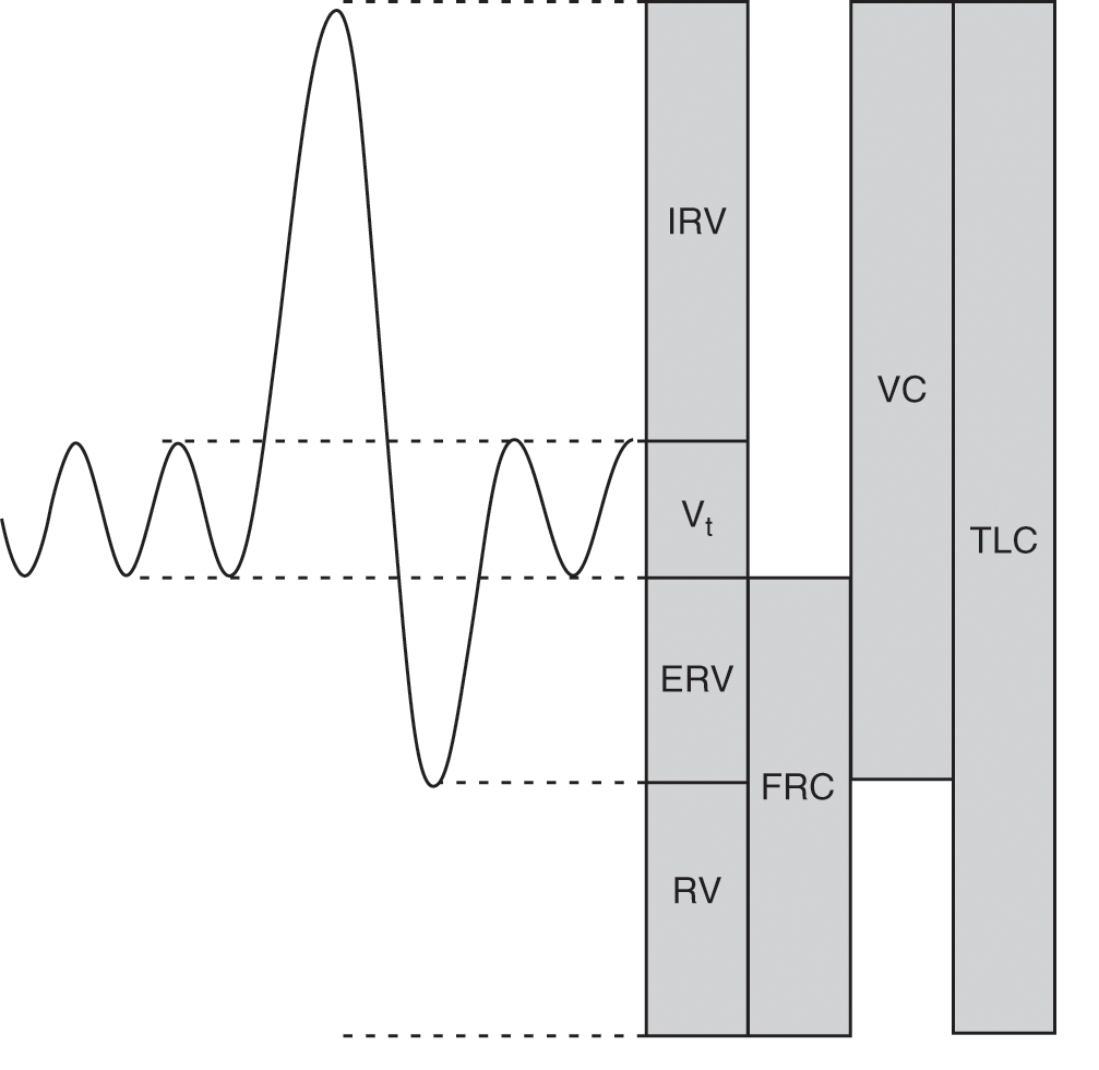 Respiratory Physiology and Terminology (Chapter 1) - Respiratory ...
