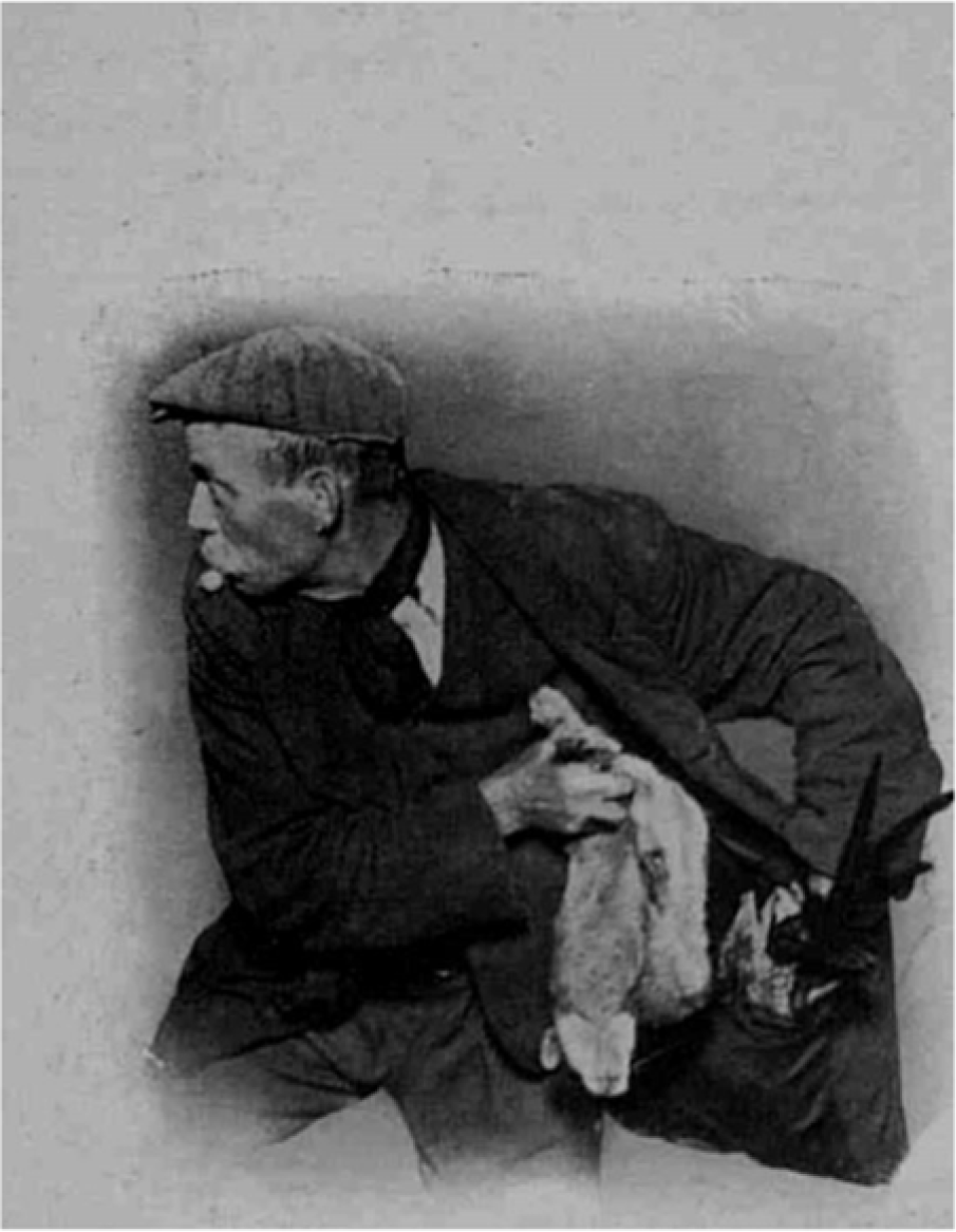 Poaching and its representation in Edwardian England, c. 1901–14 ...