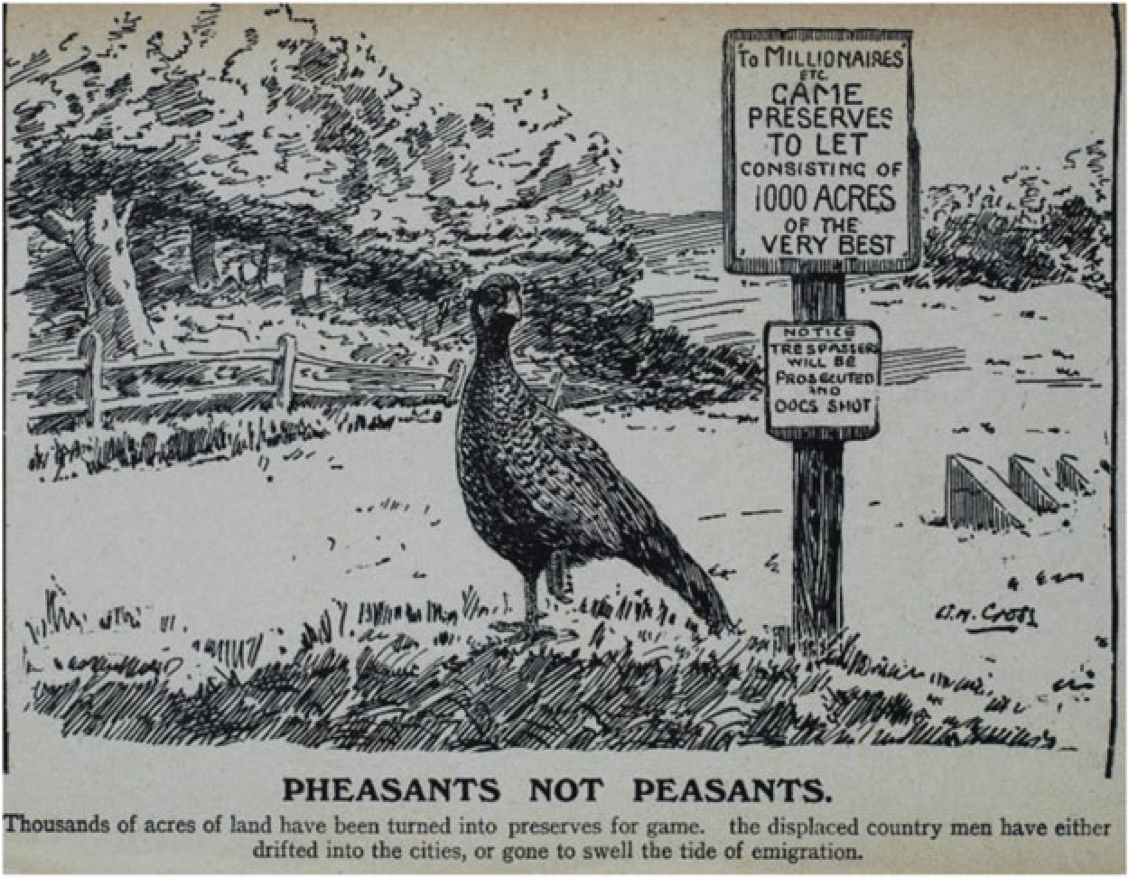 Poaching and its representation in Edwardian England, c. 1901–14 ...