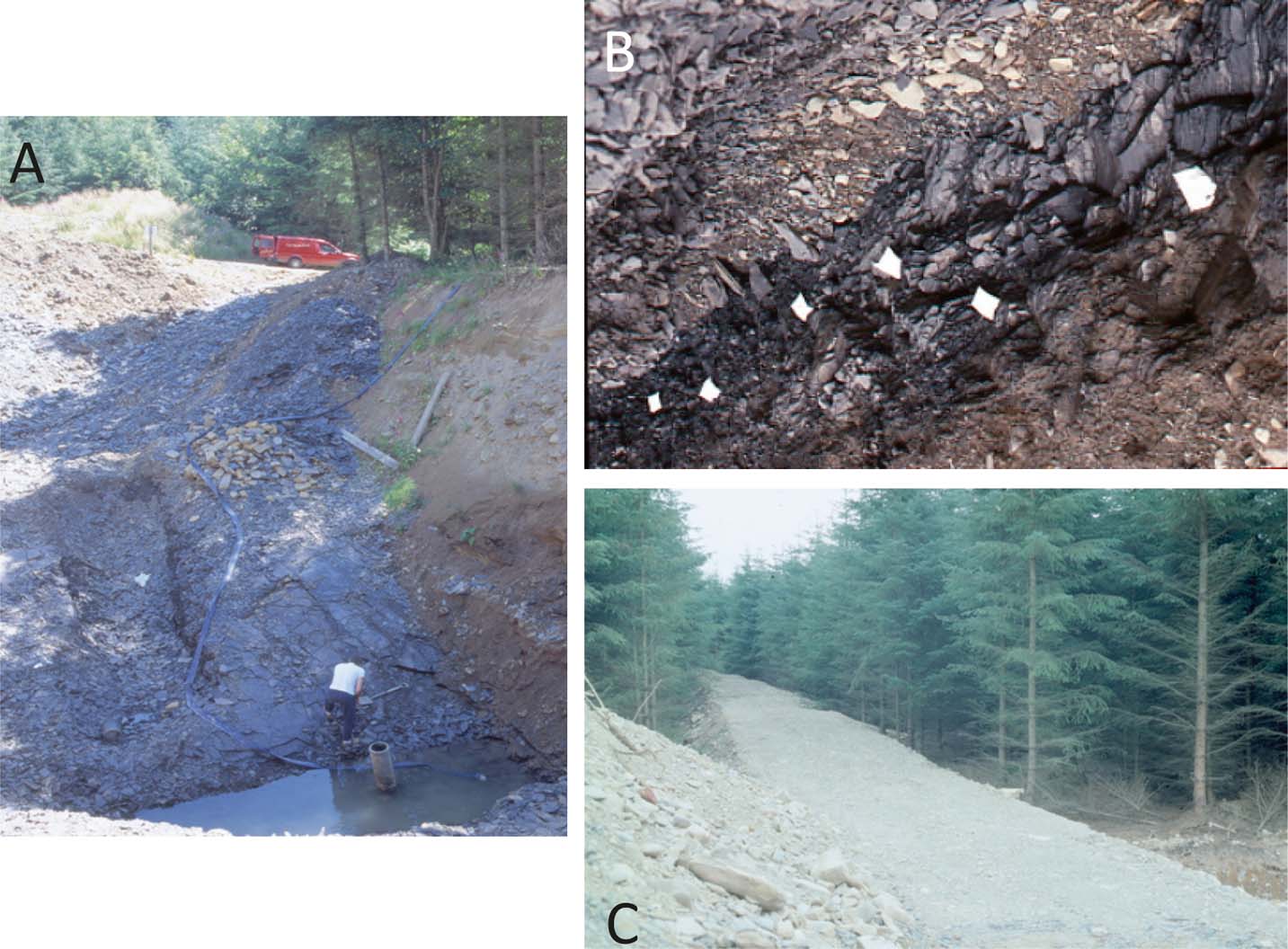 Glencartholm revisited: describing for the first time Stan Wood's ...