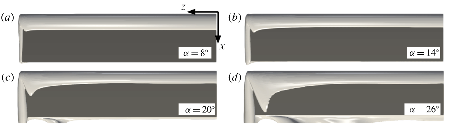 On the formation of three-dimensional separated flows over wings under ...