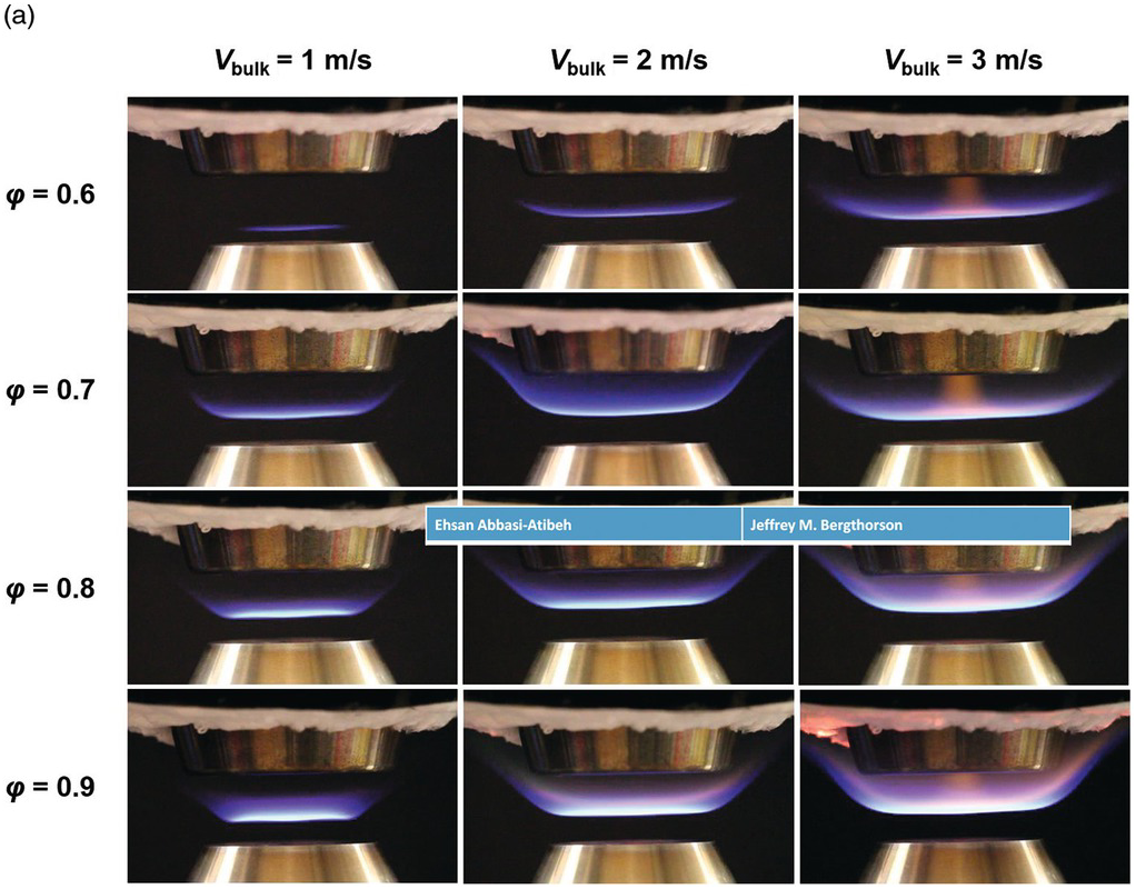 Fundamental Flames (Chapter 1) - A Gallery of Combustion and Fire