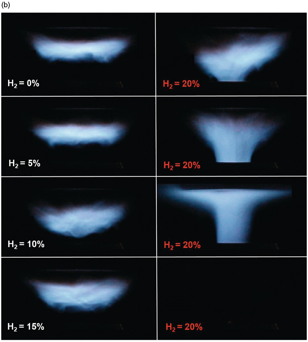 Fundamental Flames (Chapter 1) - A Gallery of Combustion and Fire