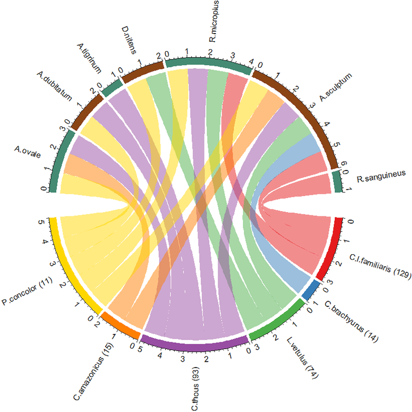 Wild carnivores, domestic dogs and ticks: shared parasitism in the ...