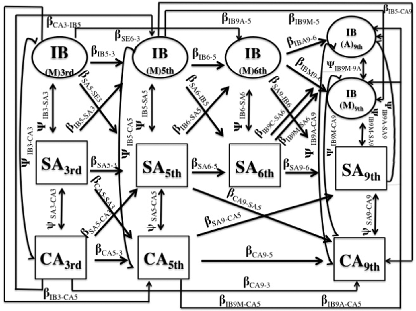 Differential effects of internalizing behaviors on academic functioning ...