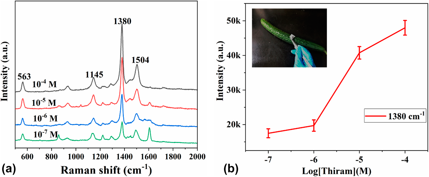 Ag-coated nylon fabrics as flexible substrates for surface-enhanced ...