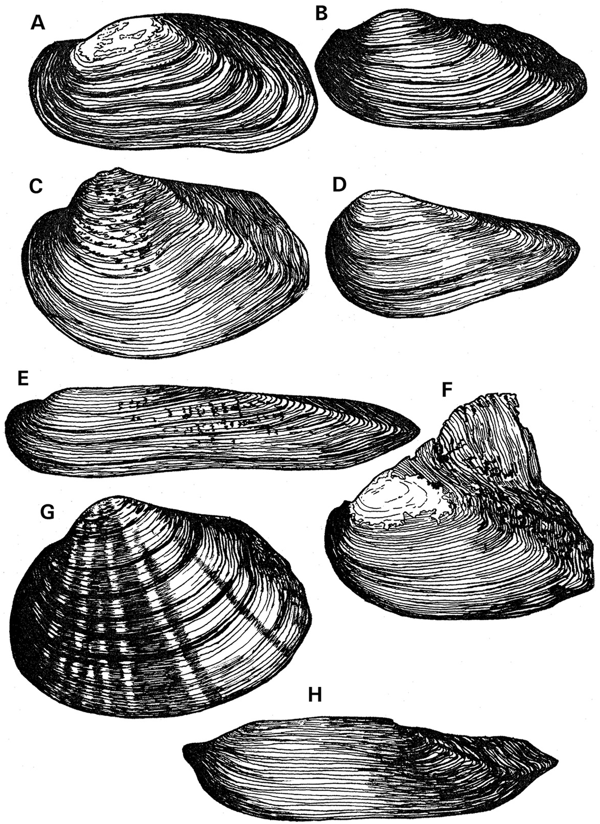 Global Endangerment of Freshwater Biodiversity (Chapter 2) - Freshwater ...