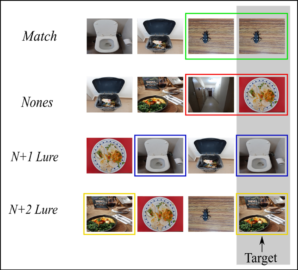 Assessing cognitive inhibition in emotional and neutral contexts in ...