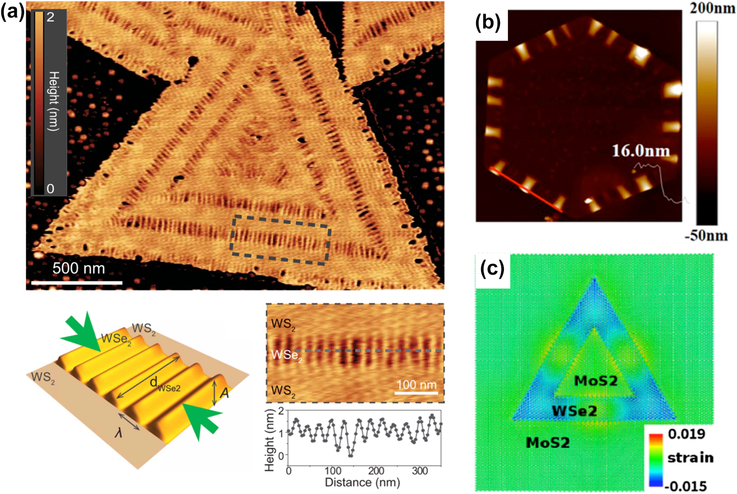 Heterogeneous deformation of two-dimensional materials for emerging ...