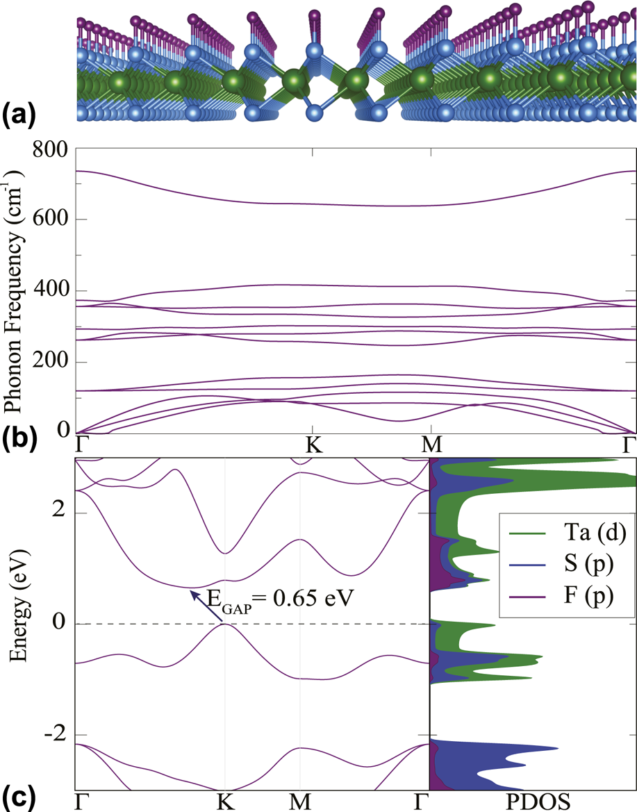 Functionalization of single-layer TaS2 and formation of ultrathin Janus ...