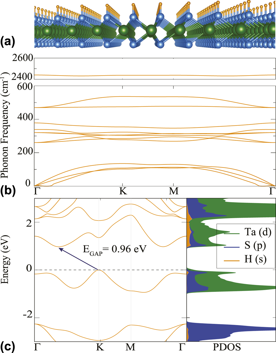 Functionalization of single-layer TaS2 and formation of ultrathin Janus ...