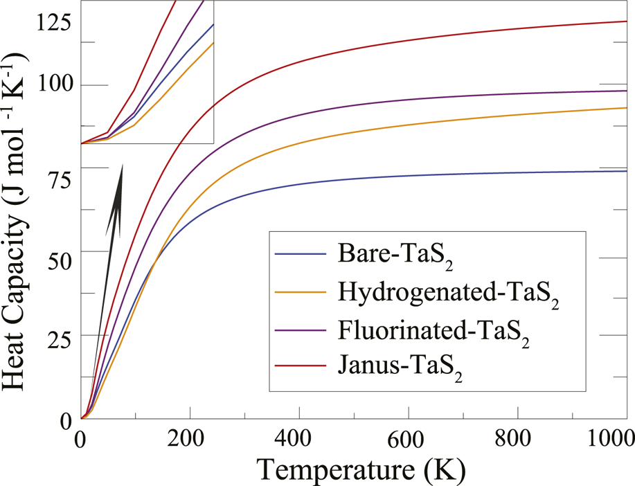 Functionalization of single-layer TaS2 and formation of ultrathin Janus ...