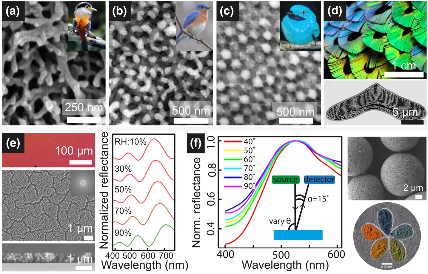 N-dimensional optics with natural materials | MRS Communications ...