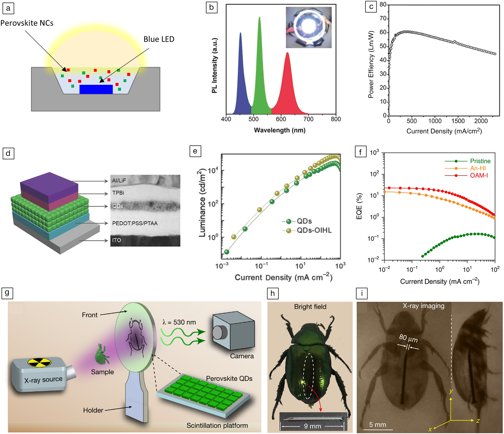 Advances in light-emitting metal-halide perovskite nanocrystals | MRS ...
