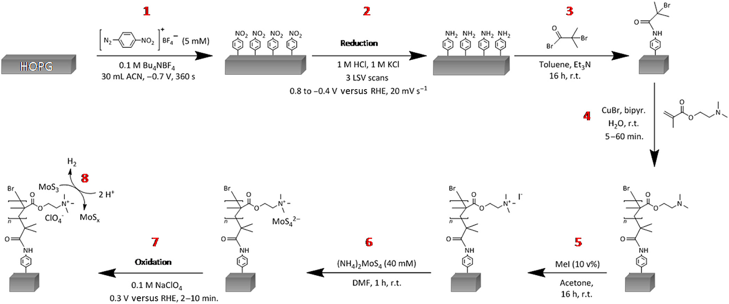 Electrocatalytic water splitting using organic polymer materials-based ...