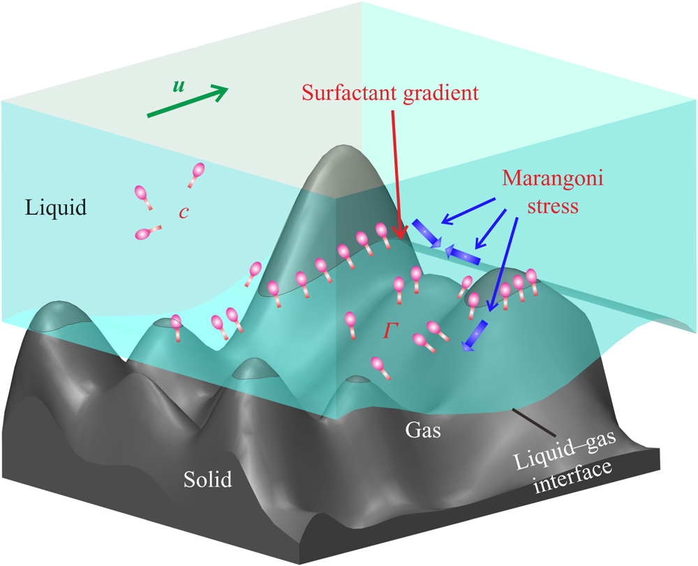 Three-dimensional backflow at liquid–gas interface induced by ...
