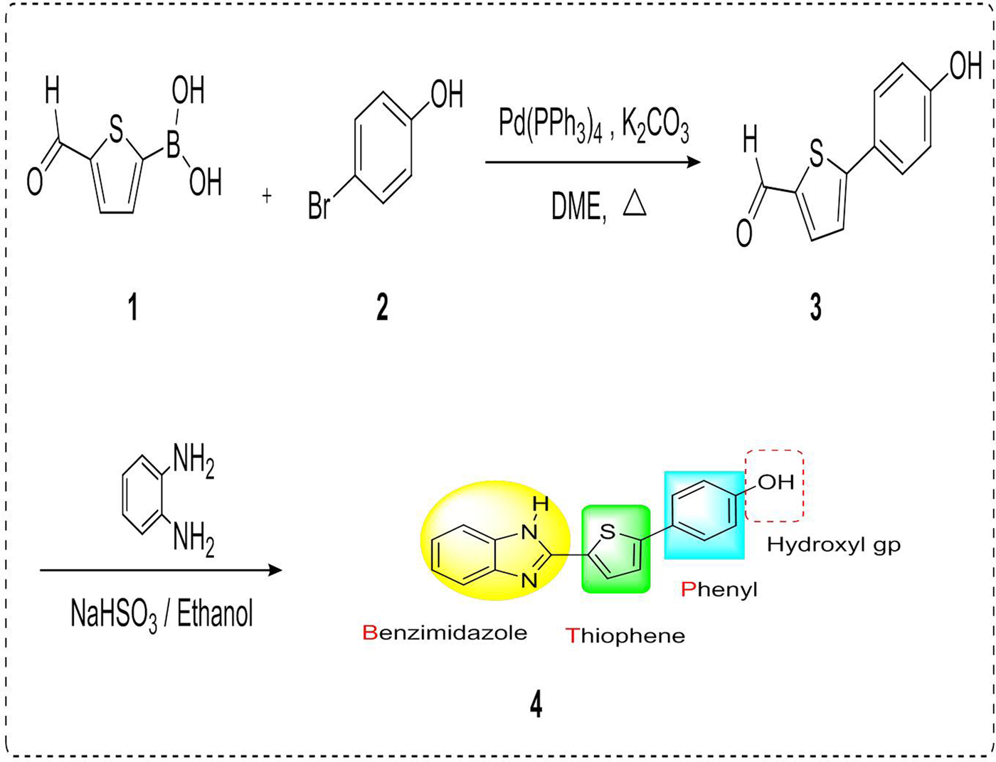 Therapeutic efficacy of a newly synthesized benzimidazole compound BTP ...