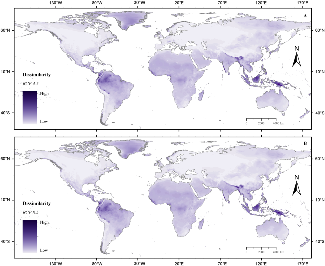 Current and future global potential distribution of the fruit fly ...