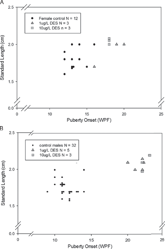 Puberty visualized: sexual maturation in the transparent Casper ...