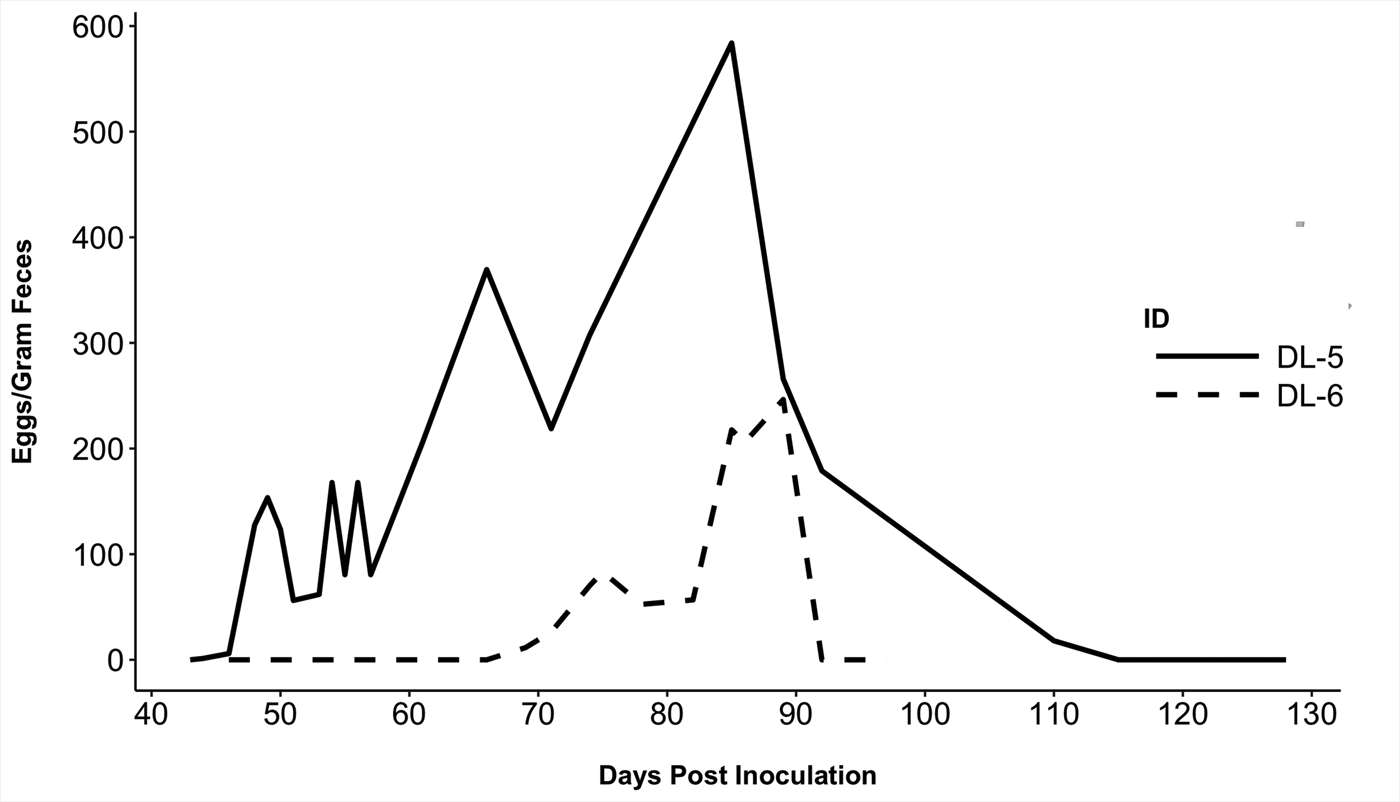 Experimental comparison of Baylisascaris procyonis definitive host ...