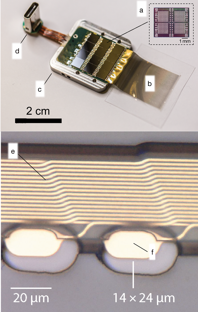 Recent advances in neural interfaces—Materials chemistry to clinical ...