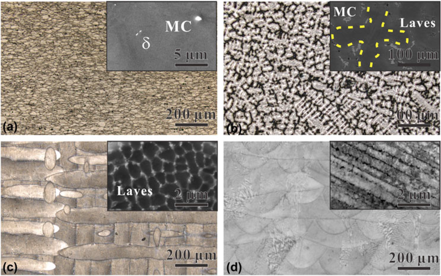 A comparative investigation of long-term oxidation behavior of ...