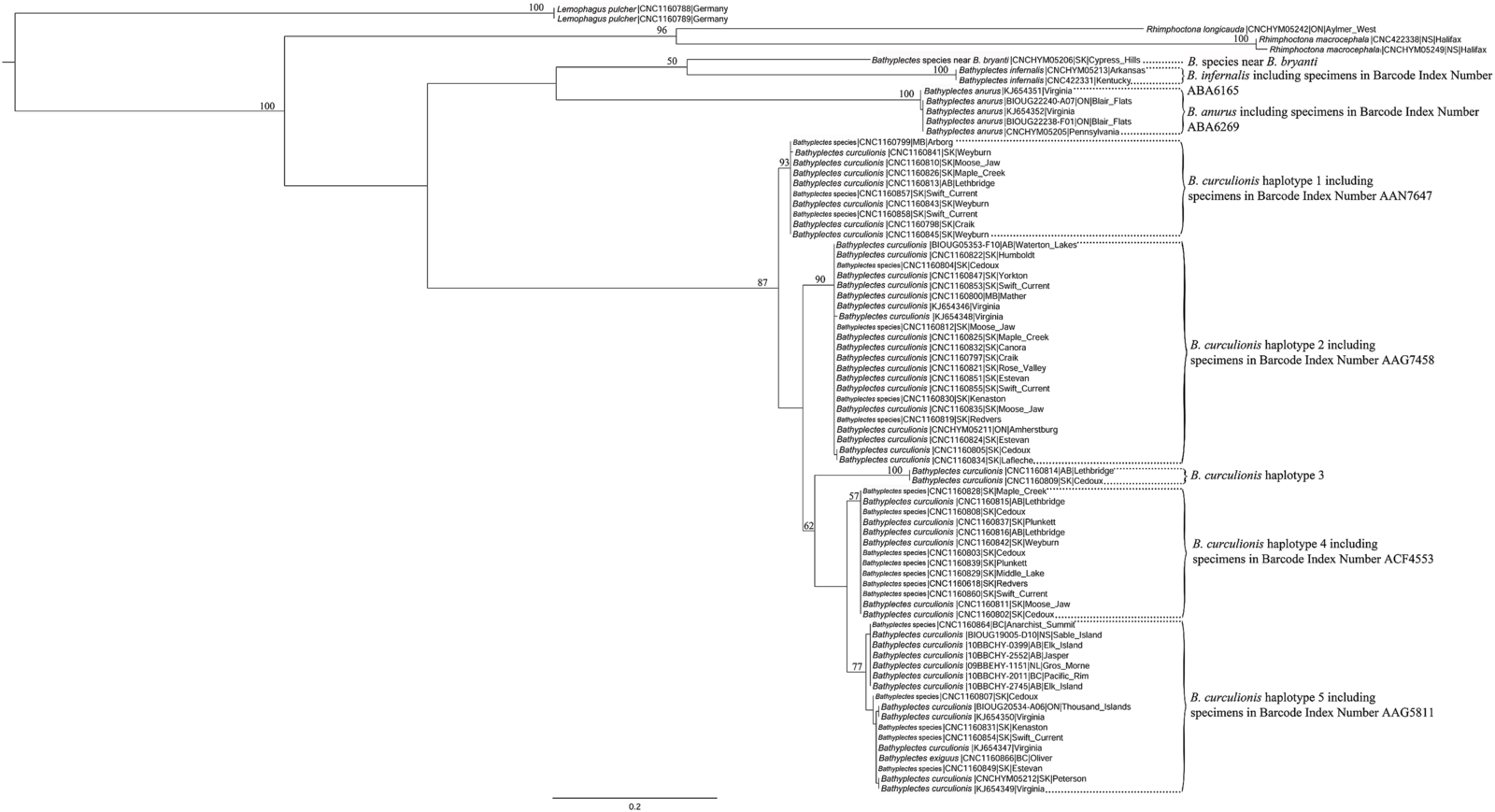 Distribution of alfalfa weevil (Coleoptera: Curculionidae) and its ...