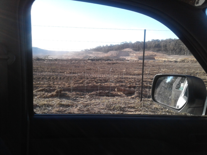 Mining voids: Extraction and emotion at the Australian coal frontier ...