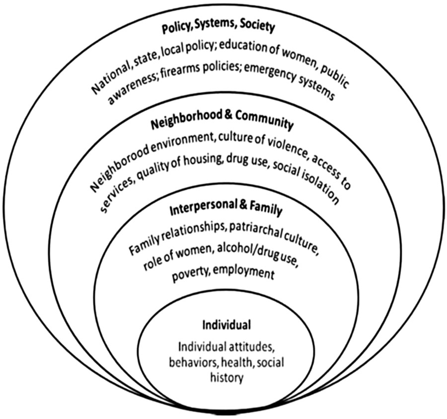 Macrosystem and Women’s Fear of Crime in Intimate Relations: An ...