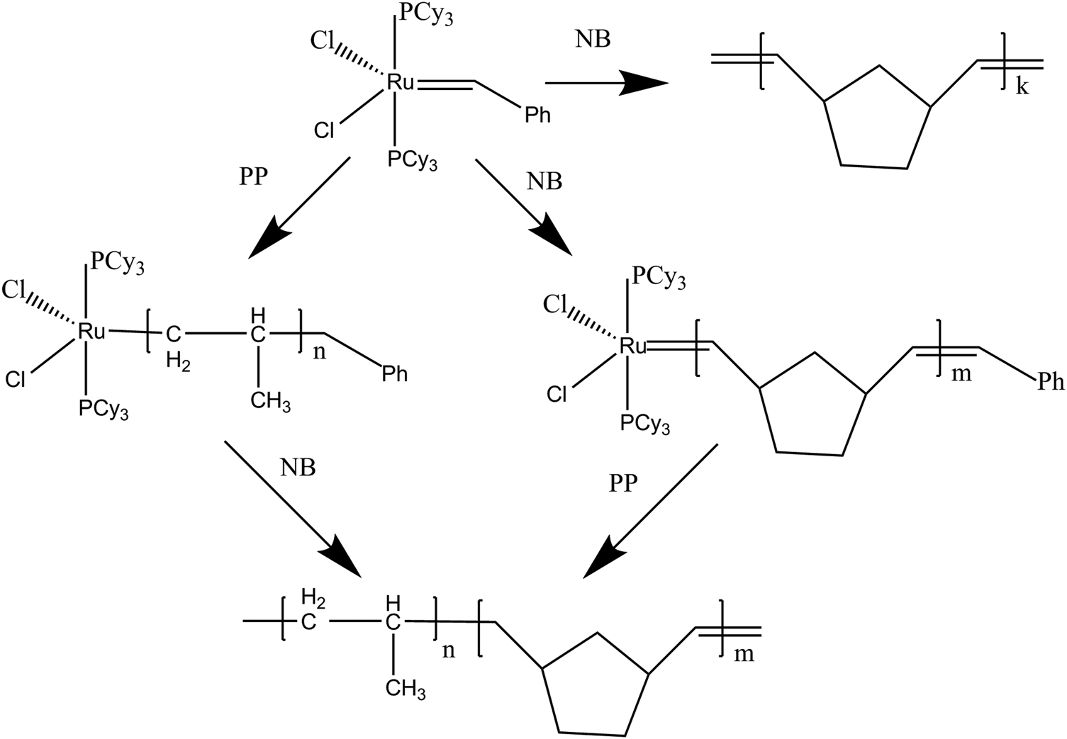 Synthesis of polypropylene-graft-norbornene by reactive extrusion and ...