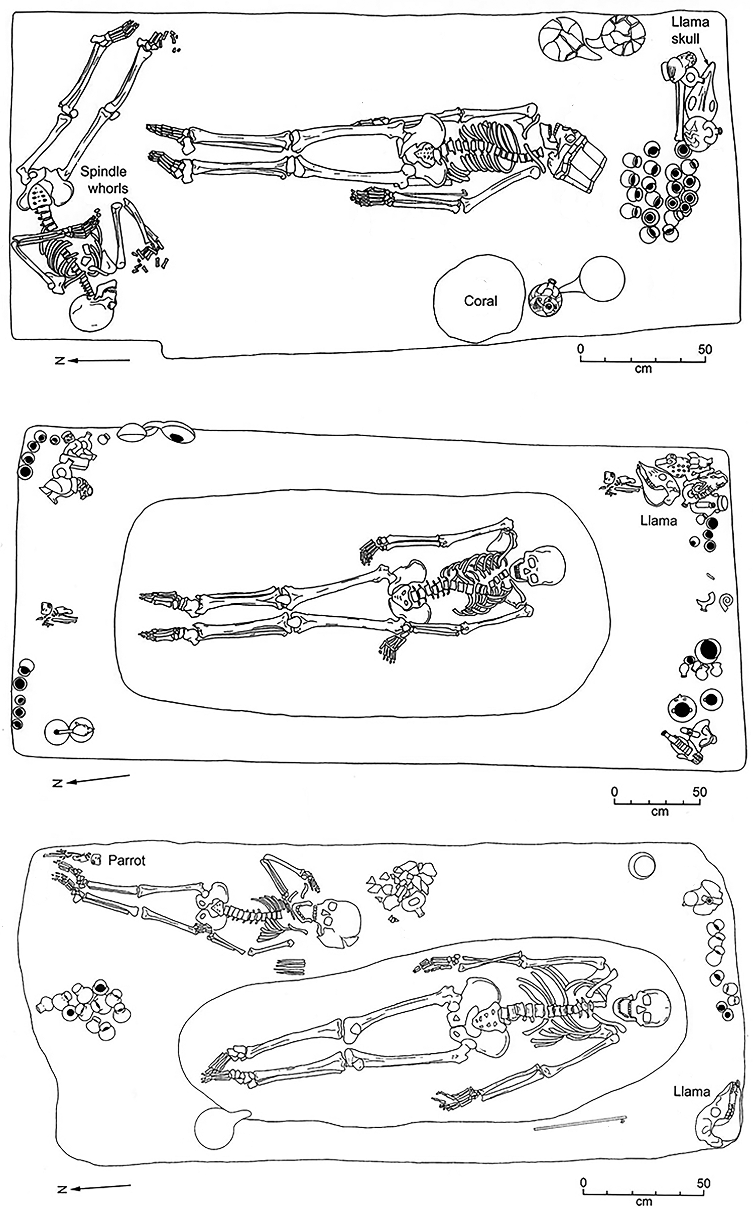 Moche Mortuary Pottery and Culture Change | Latin American Antiquity ...