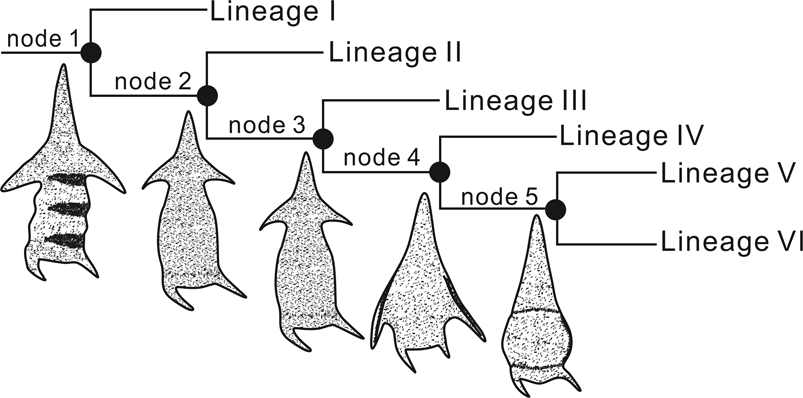 Verifiability of genus-level classification under quantification and ...
