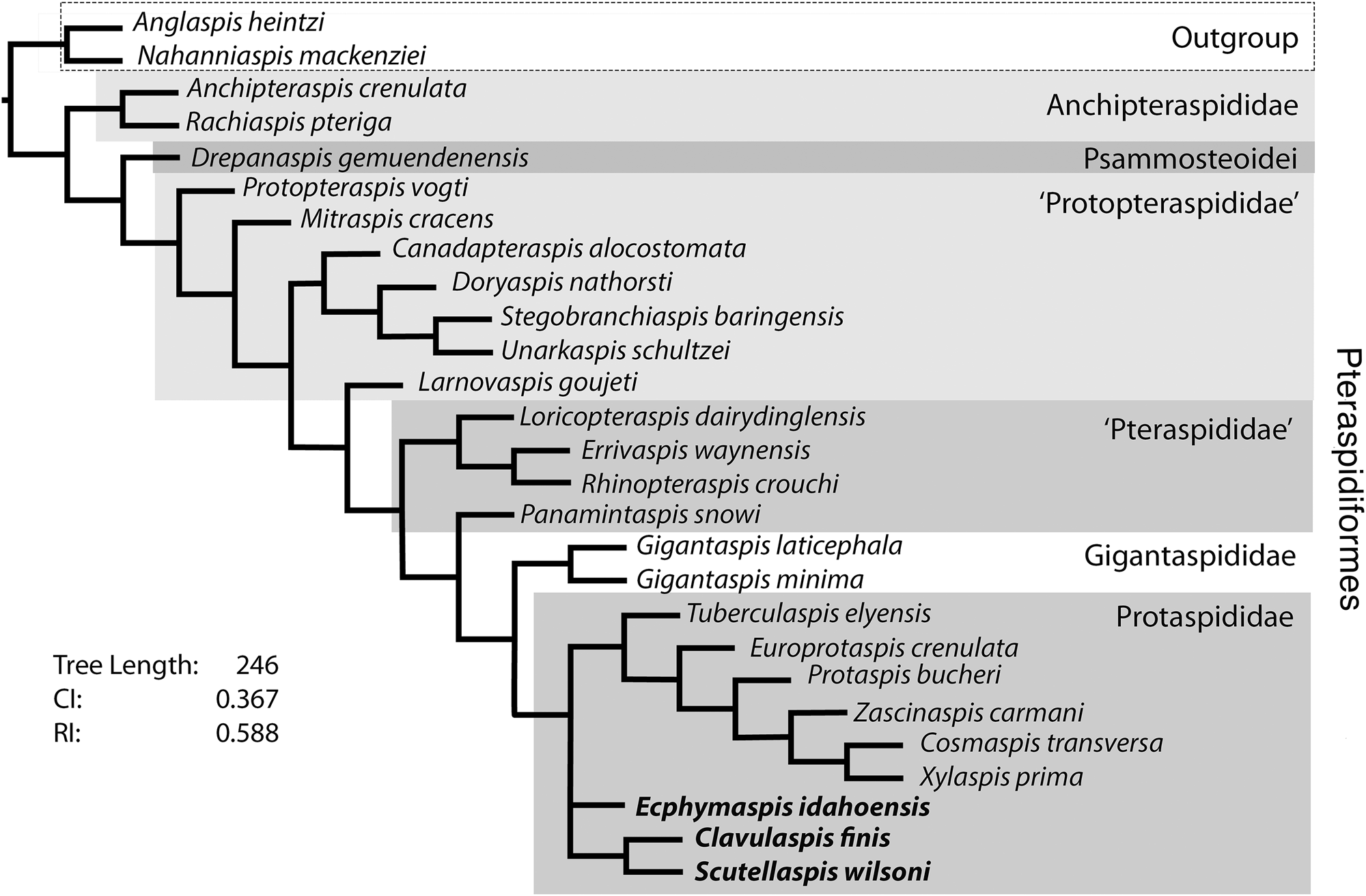 The last pteraspids (Vertebrata, Heterostraci): new material from the ...