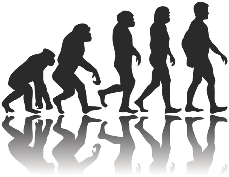 The Public Acceptance of Evolution (Chapter 1) - Understanding Evolution