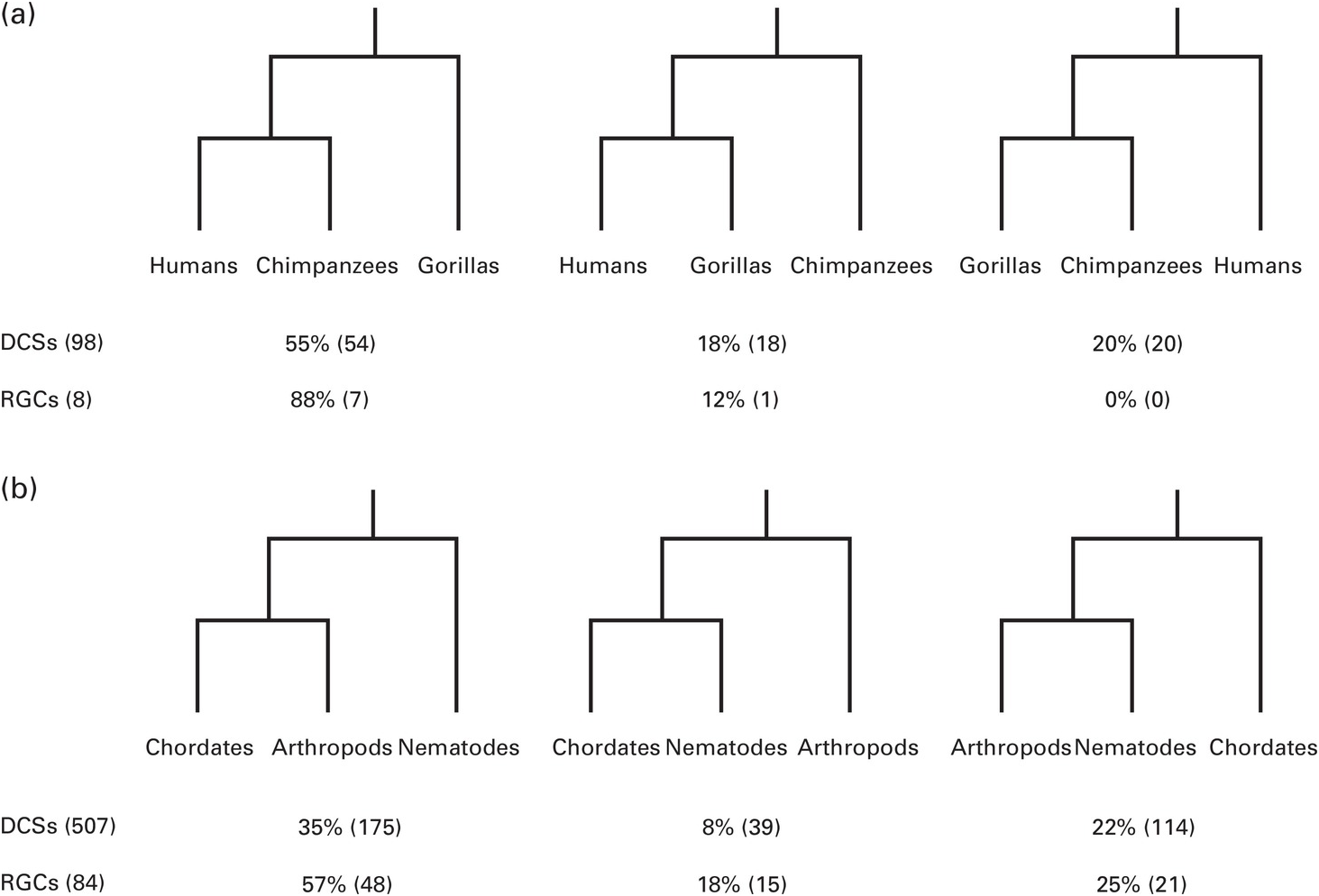 Common Ancestry (Chapter 5) Understanding Evolution, 52% OFF Common Ancestry (Chapter 5) Understanding Evolution, 52% OFF