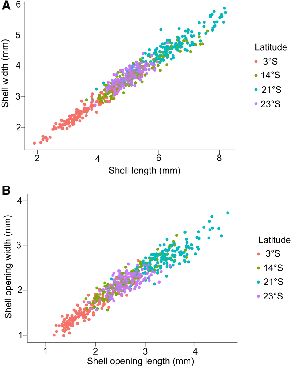 Morphometric analysis of the shell of the intertidal gastropod ...