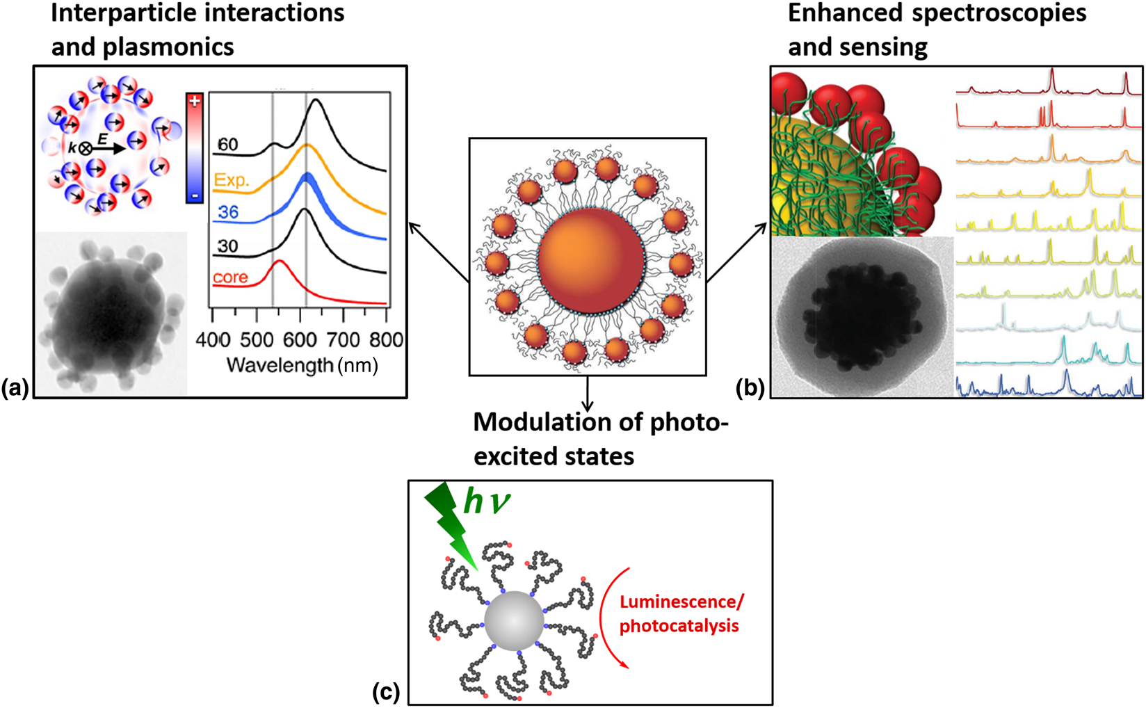 Planet–satellite nanostructures from inorganic nanoparticles: from ...