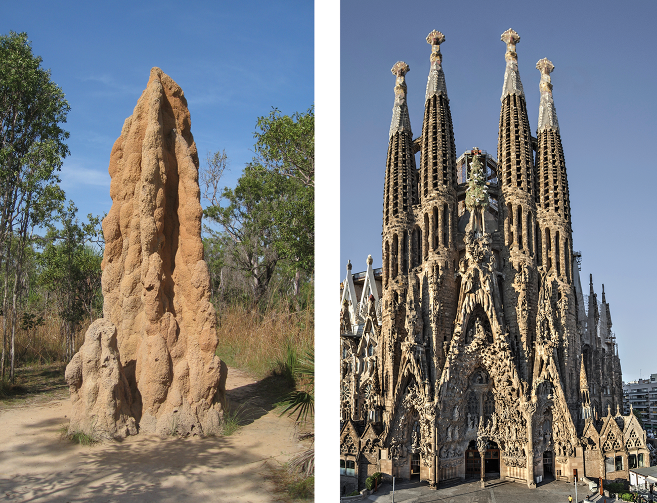 Hominin Stone Flaking and the Emergence of ‘Top-down’ Design in Human ...