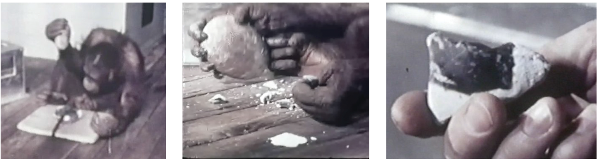 Hominin Stone Flaking and the Emergence of ‘Top-down’ Design in Human ...