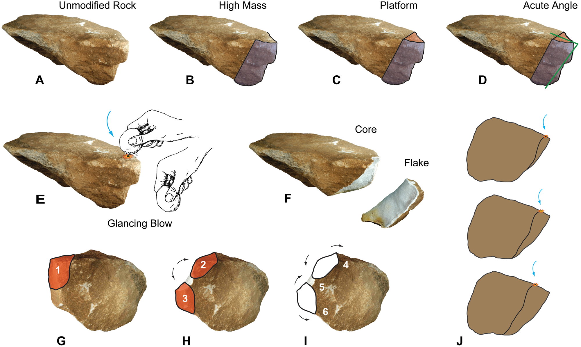 Hominin Stone Flaking and the Emergence of ‘Top-down’ Design in Human ...