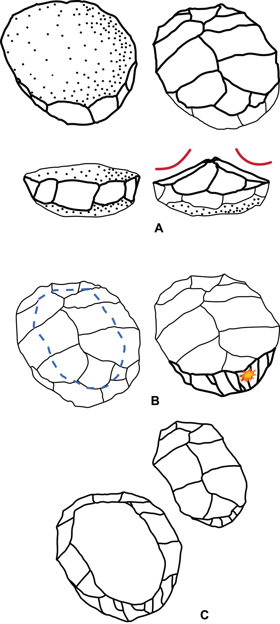 Hominin Stone Flaking and the Emergence of ‘Top-down’ Design in Human ...