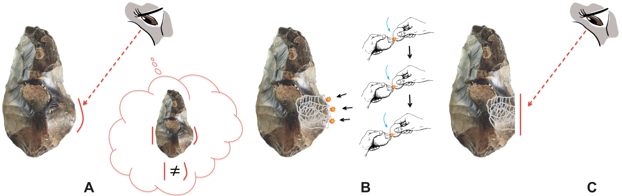 Hominin Stone Flaking and the Emergence of ‘Top-down’ Design in Human ...