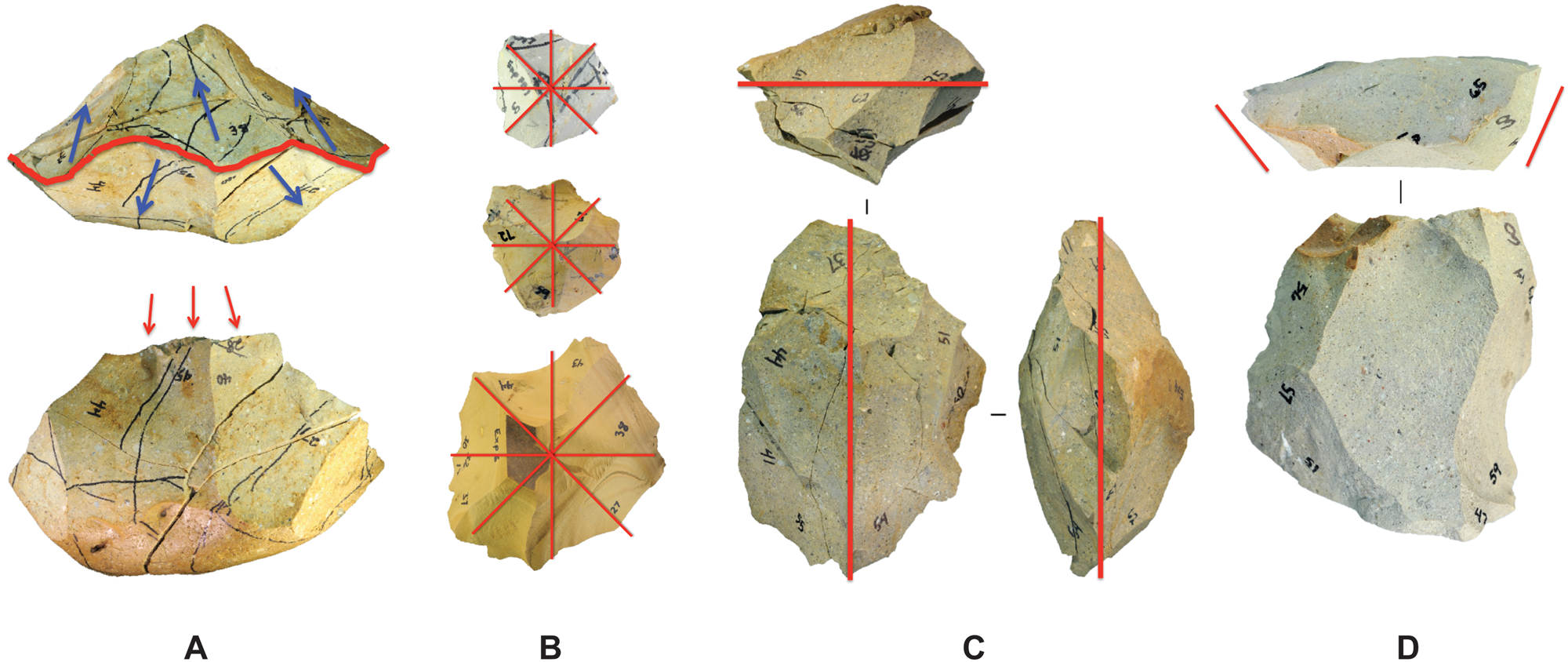 Hominin Stone Flaking and the Emergence of ‘Top-down’ Design in Human ...
