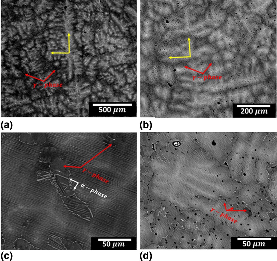 Hot deformation and softening response in boron-modified two-phase ...