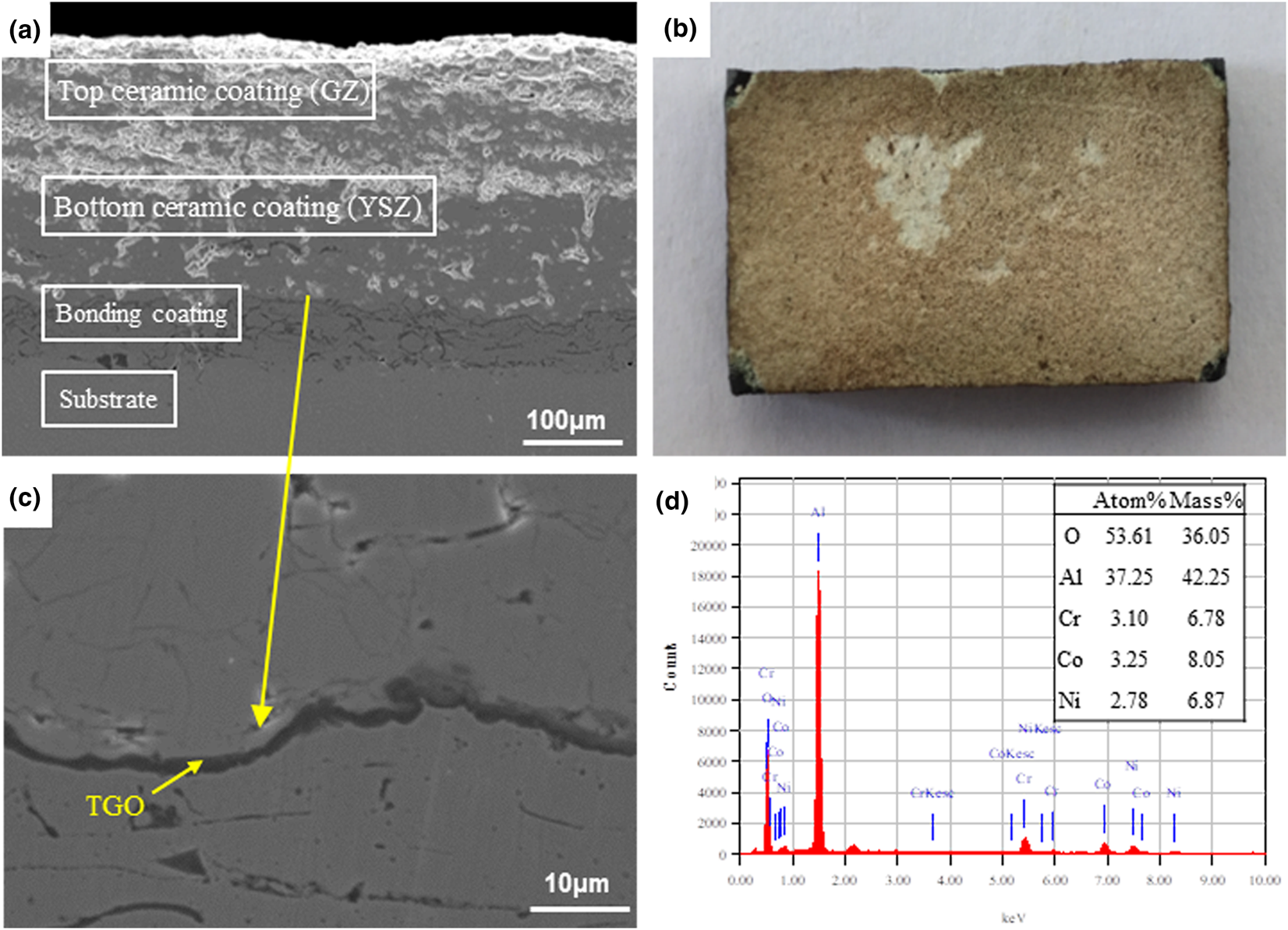 Thermal shock resistance of double-layer thermal barrier coatings ...