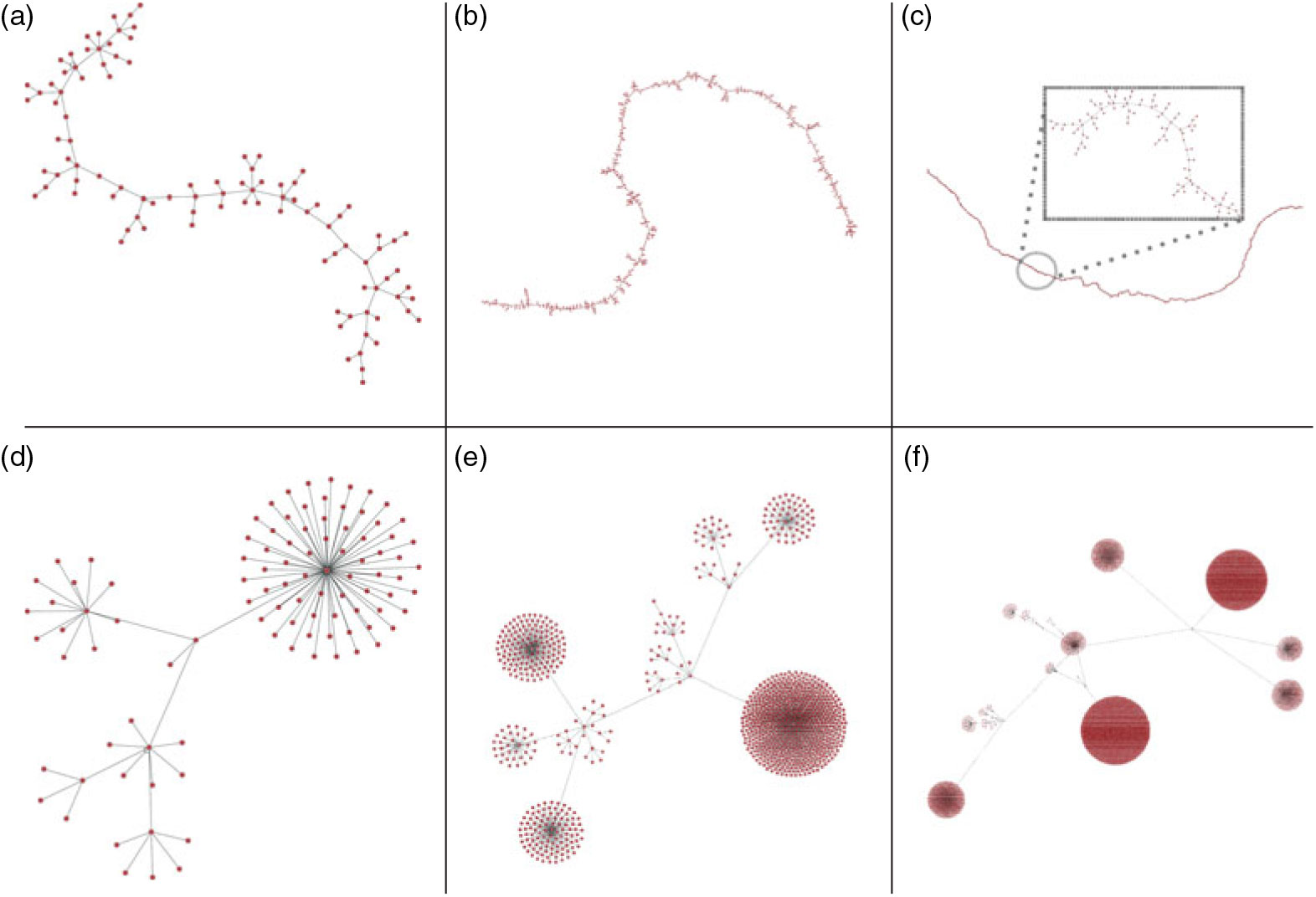 Transient and slim versus recurrent and fat: Random walks and the trees ...
