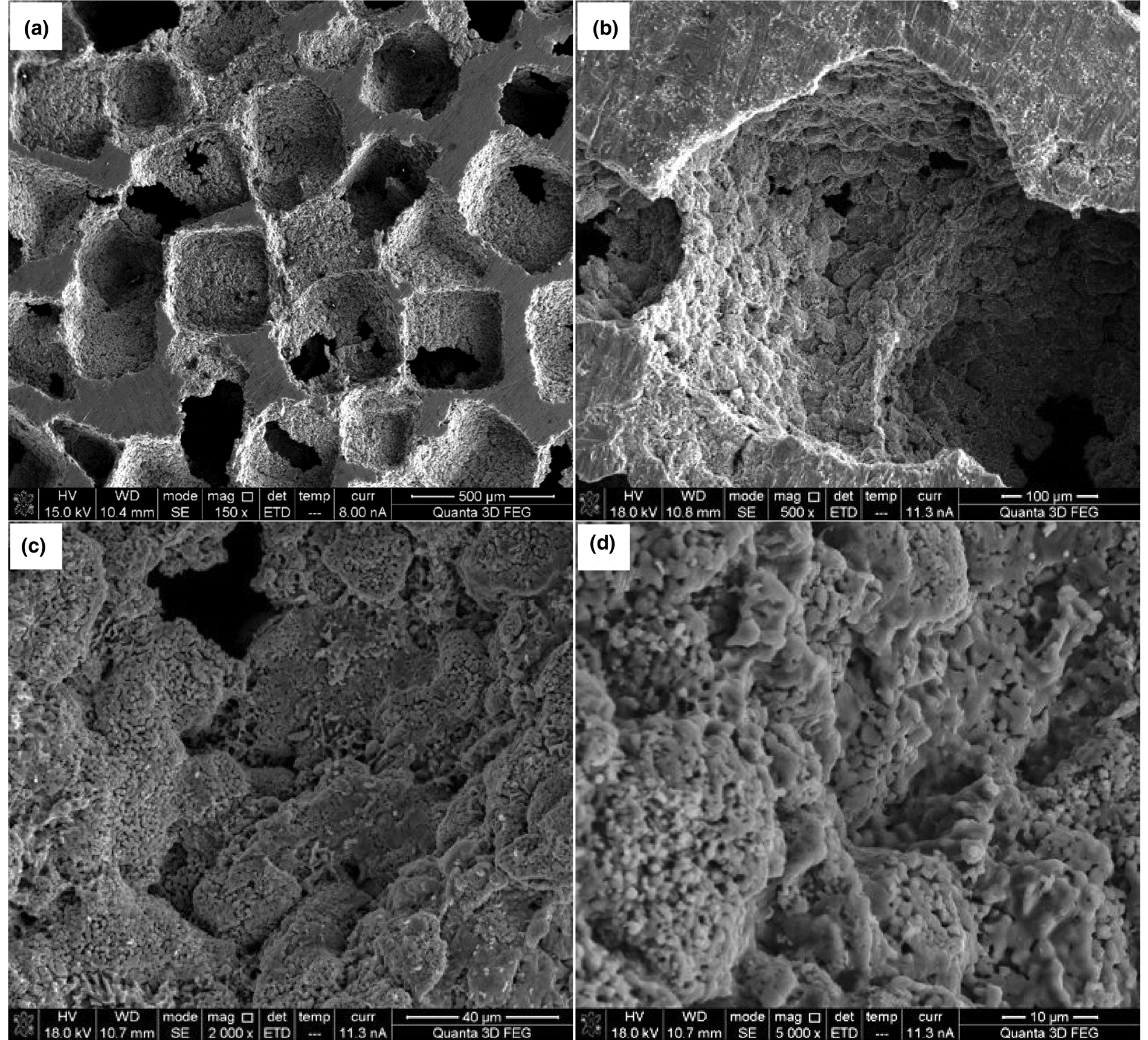 Fabrication, mechanical property and in vitro bioactivity of ...